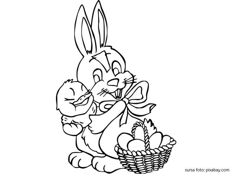 Iepurasul, ratusca si cosul cu oua de Paste